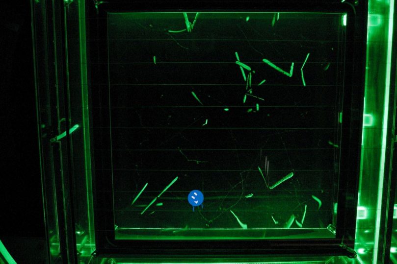 Quanta are watching you: The Observer Effect - Physicus Minimus